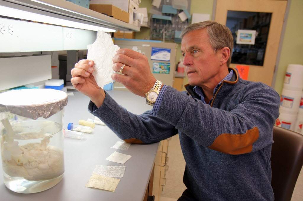 Stem Cell Therapy Regrows Injured Leg Muscles